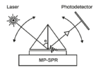 Multi-Parametric Surface Plasmon Resonance | BioNavis