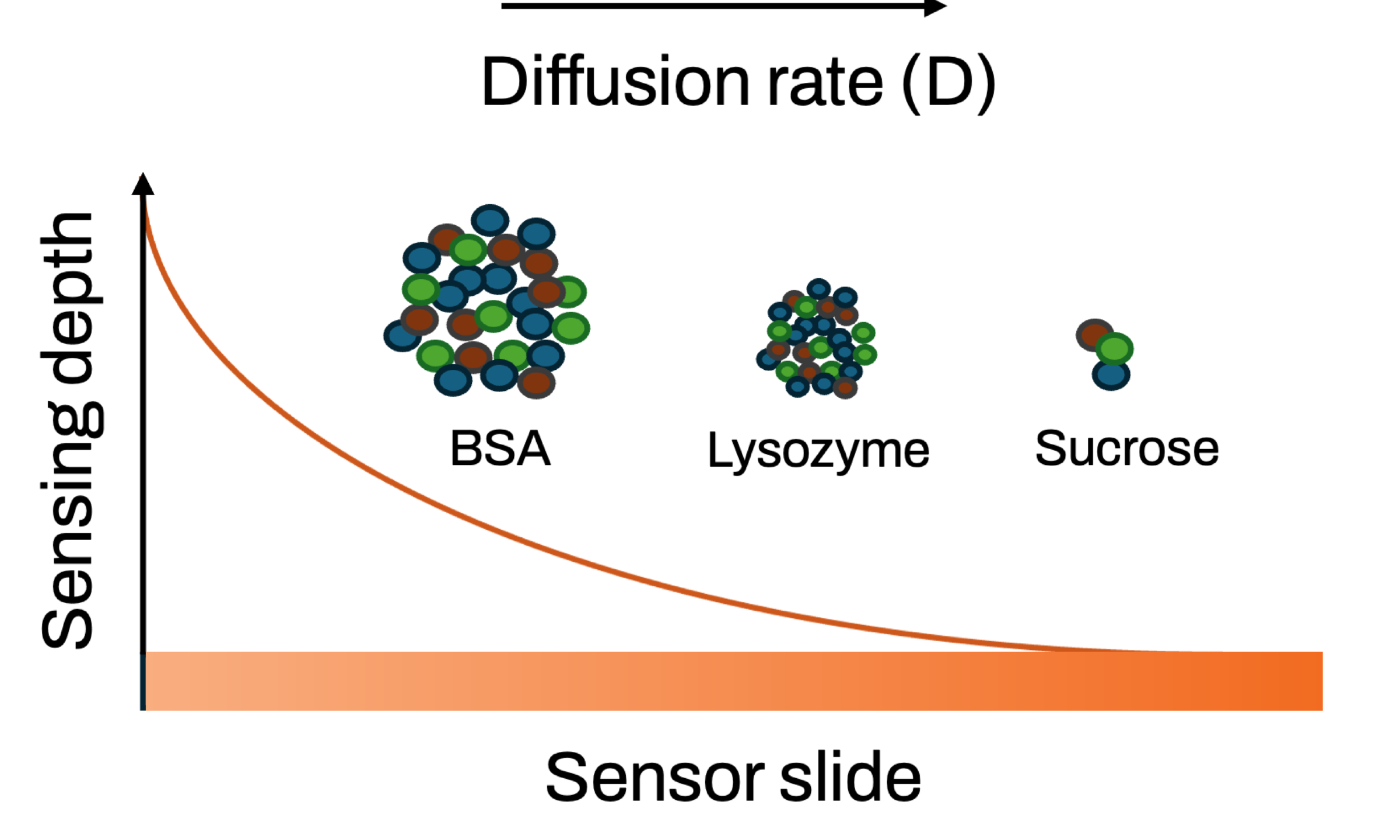 Decoding Protein Folding and Digestion via Diffusion MP-SPR | BioNavis