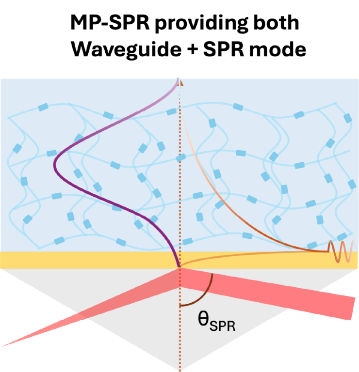 AN#178 MP-SPR for Continuous and Label-Free Small Molecule Monitoring ...